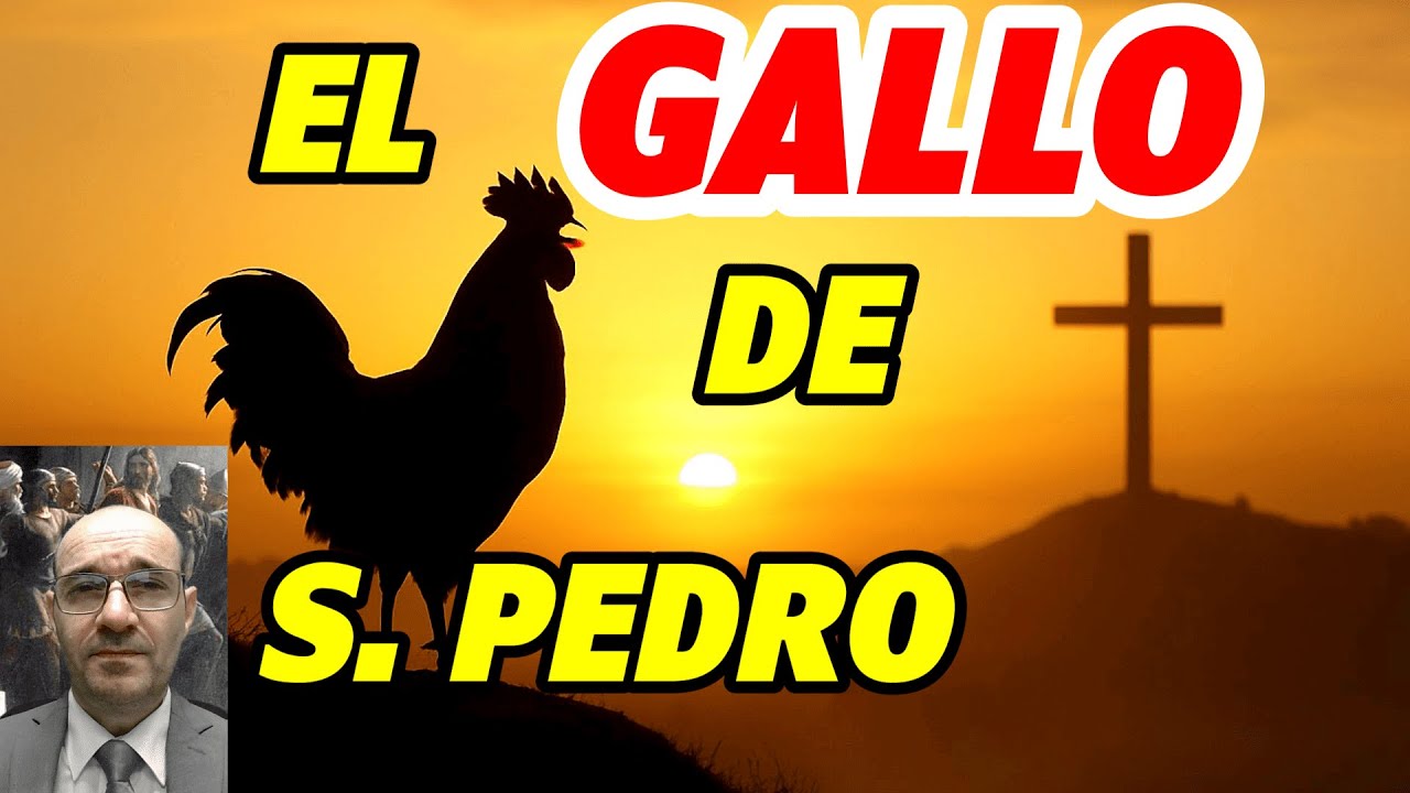 El Gallo que Cambió la Historia y DESPERTÓ el Alma de San Pedro 🐓 - YouTube