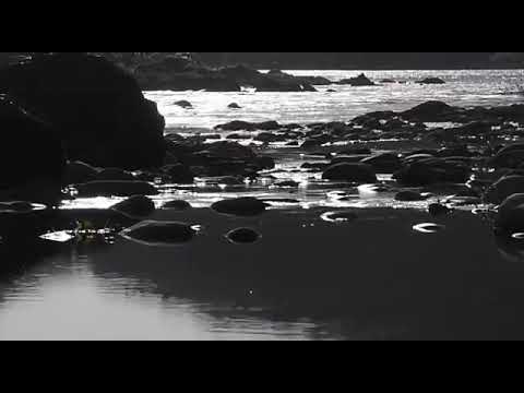 Əziz Ezizov-Uzaqdan sevdim