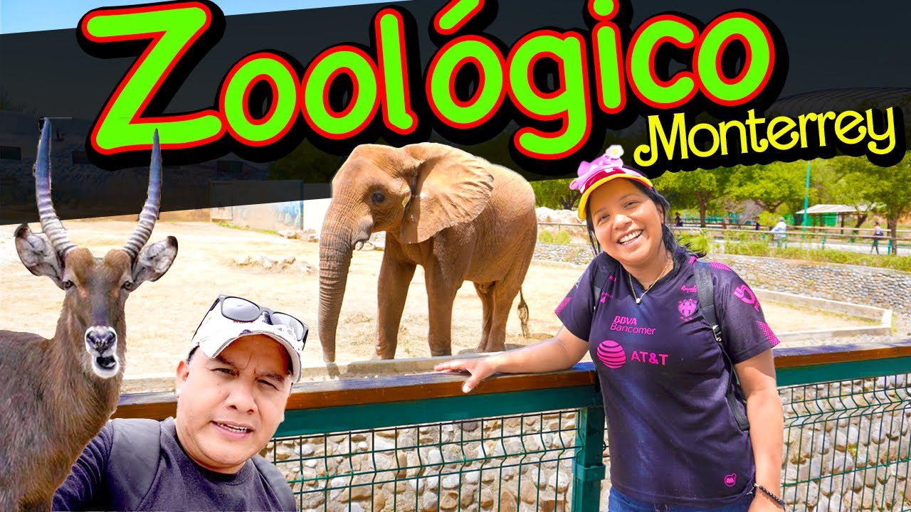🐘 !Increíble! Zoológico La Pastora en Monterrey: Horarios, Tarifas, y ...