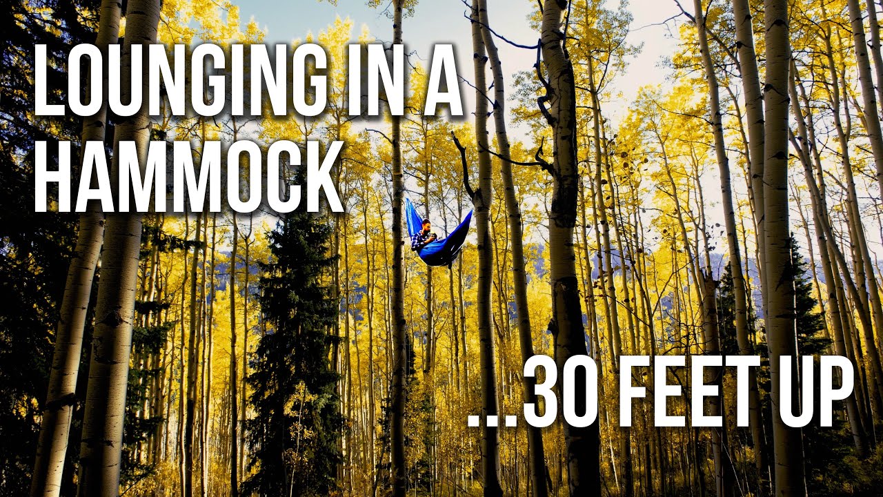 The aspen hammock project - YouTube