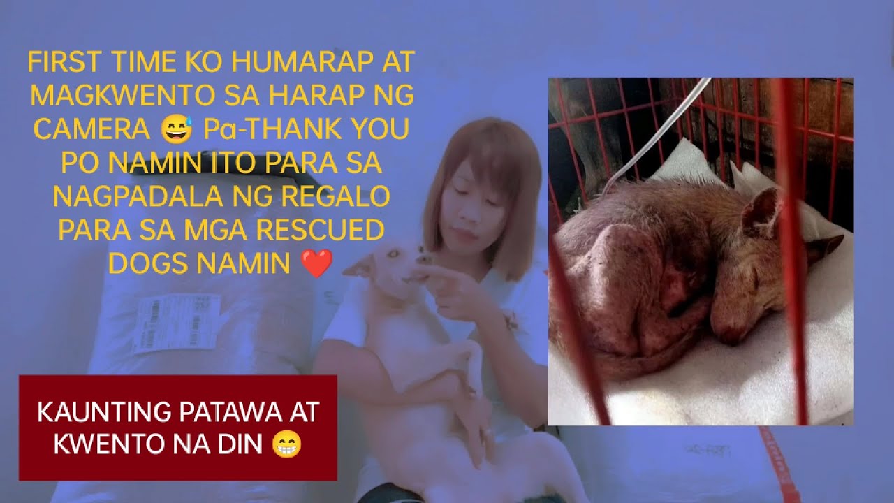 Pasasalamat sa regalo na natanggap ng aming mga rescued dogs, Kaunting ...