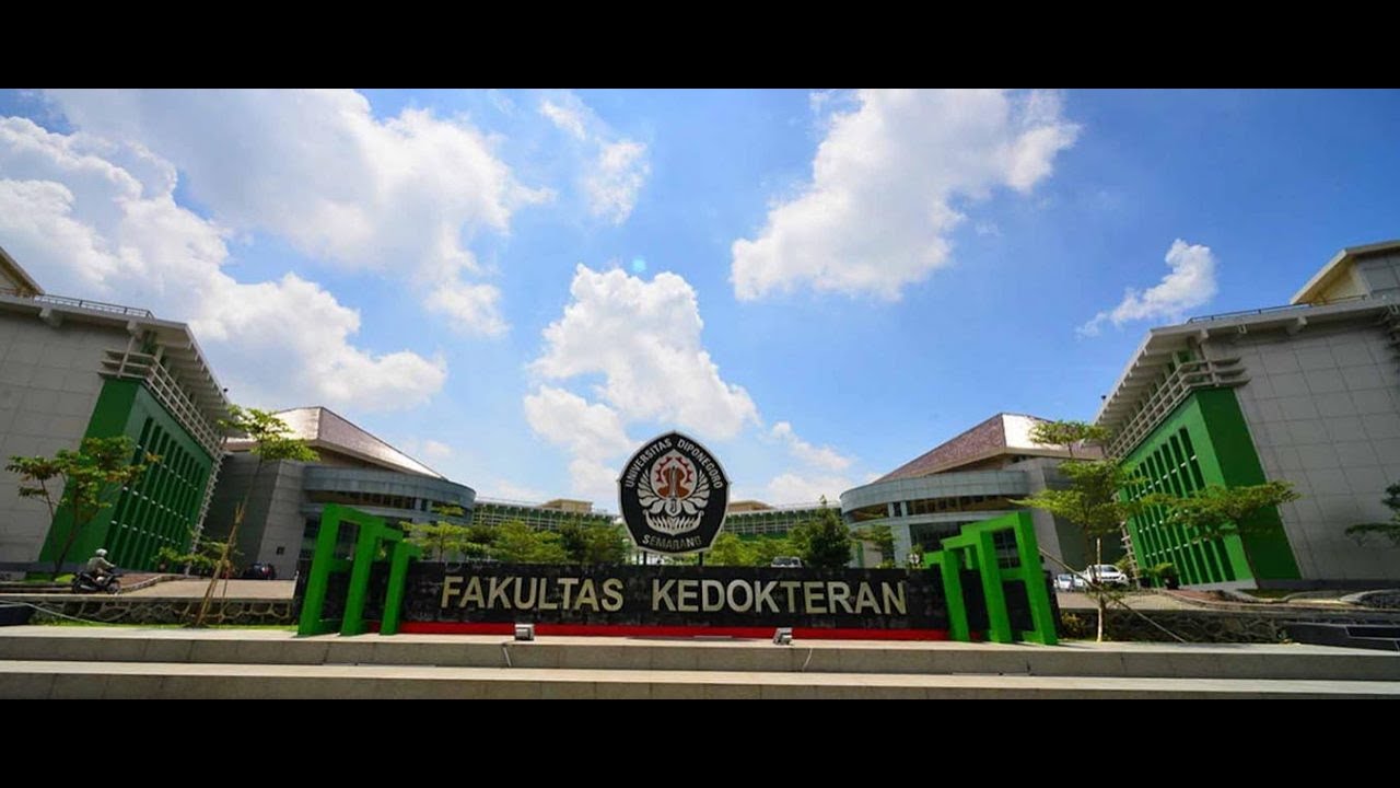 Profil Fakultas Kedokteran Universitas Diponegoro 2021 - YouTube