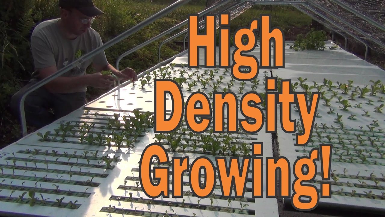 High Density Growing Experiment - YouTube