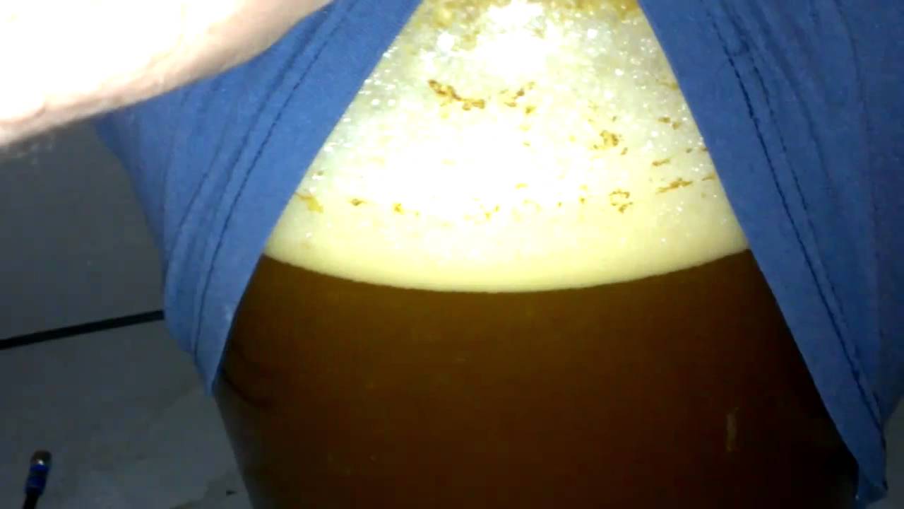 Caribou slobber with active fermentation. - YouTube