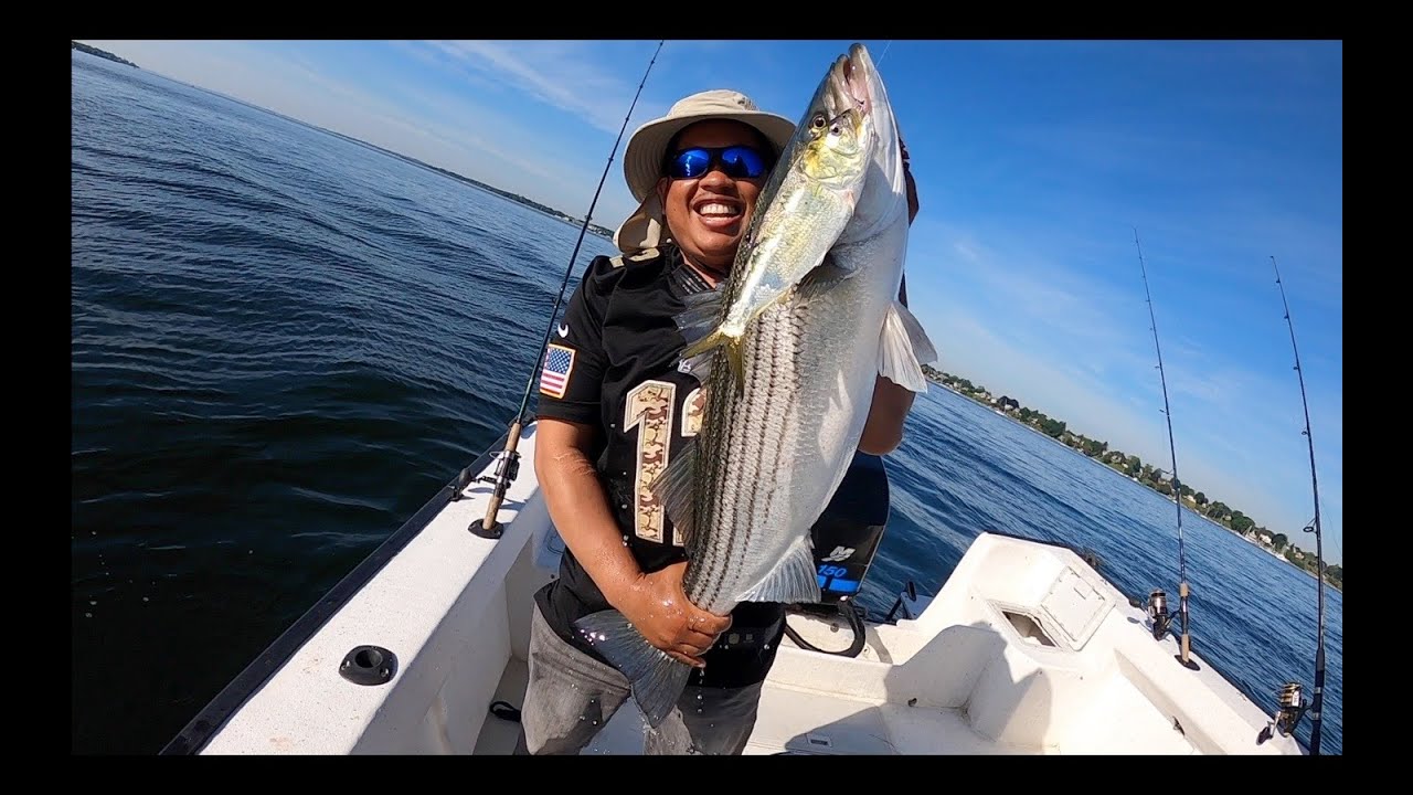 Live Lining For Striped Bass! - YouTube