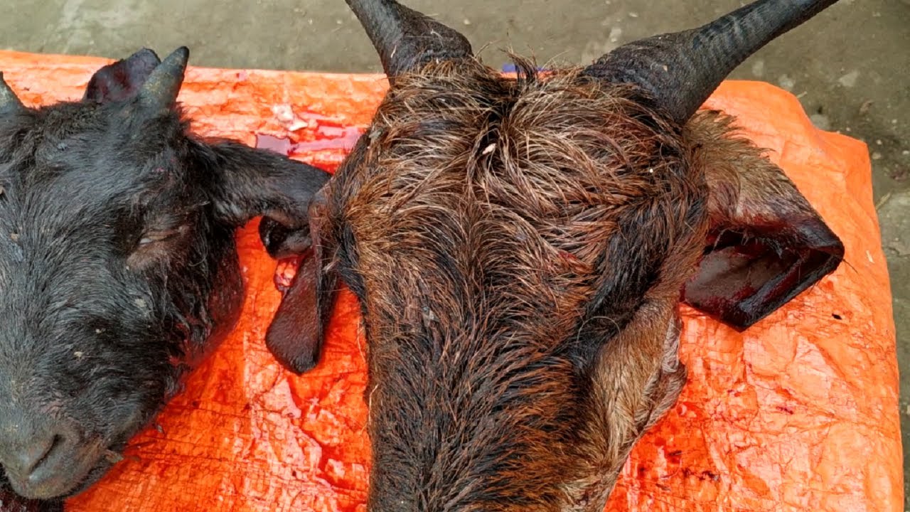 Goat head cutting and cleaning skill in Bangladesh. Amazing mutton head ...