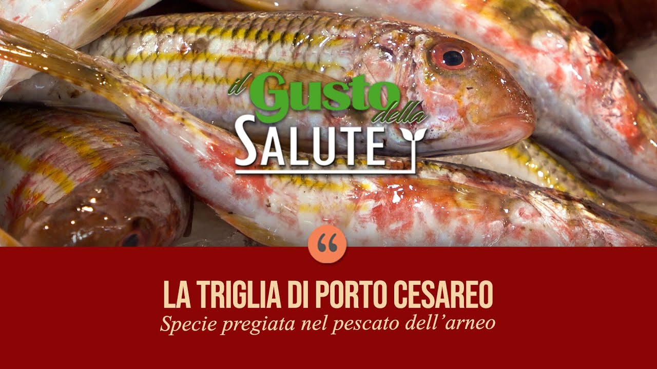 Il Gusto della Salute: la Triglia di Porto Cesareo - YouTube