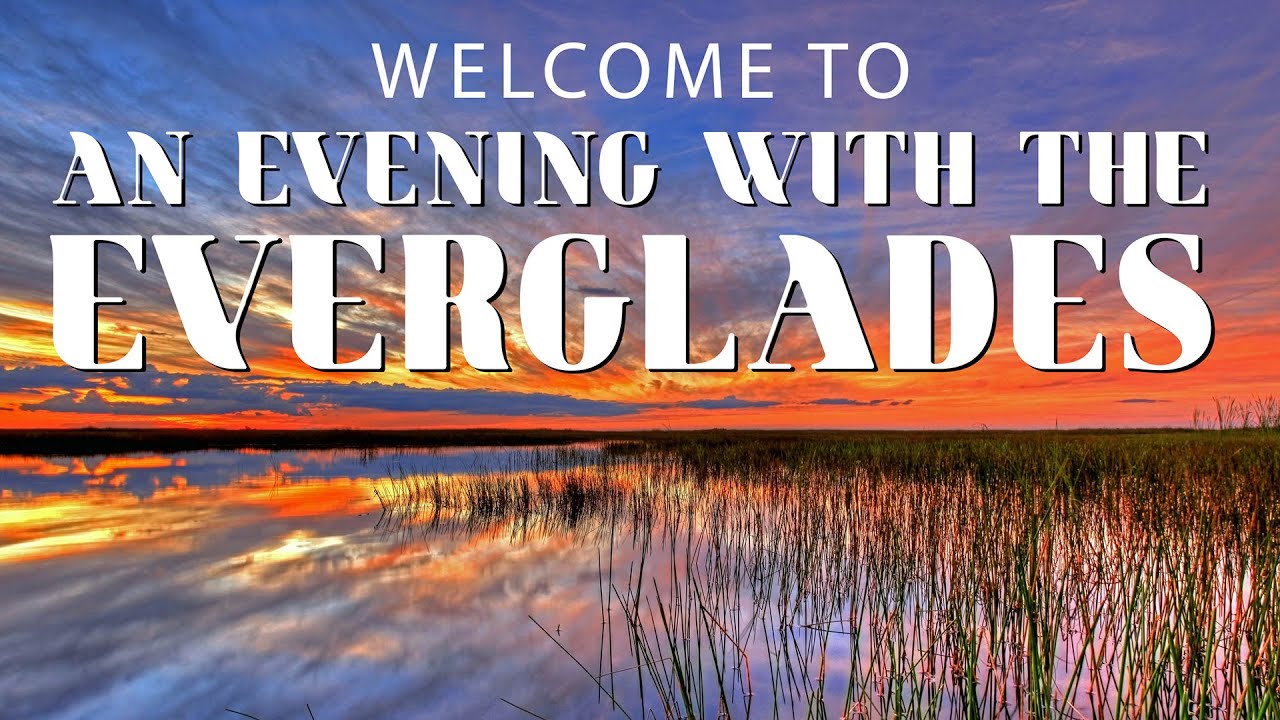 An Evening With The Everglades Virtual Event - YouTube