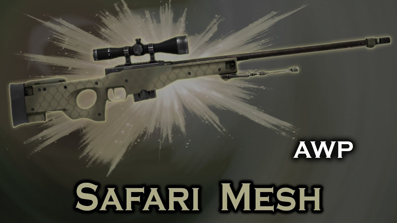 Safari Mesh AWP StatTrak stickers skin preview FN/MW/FT/WW/BS — CS:GO ...