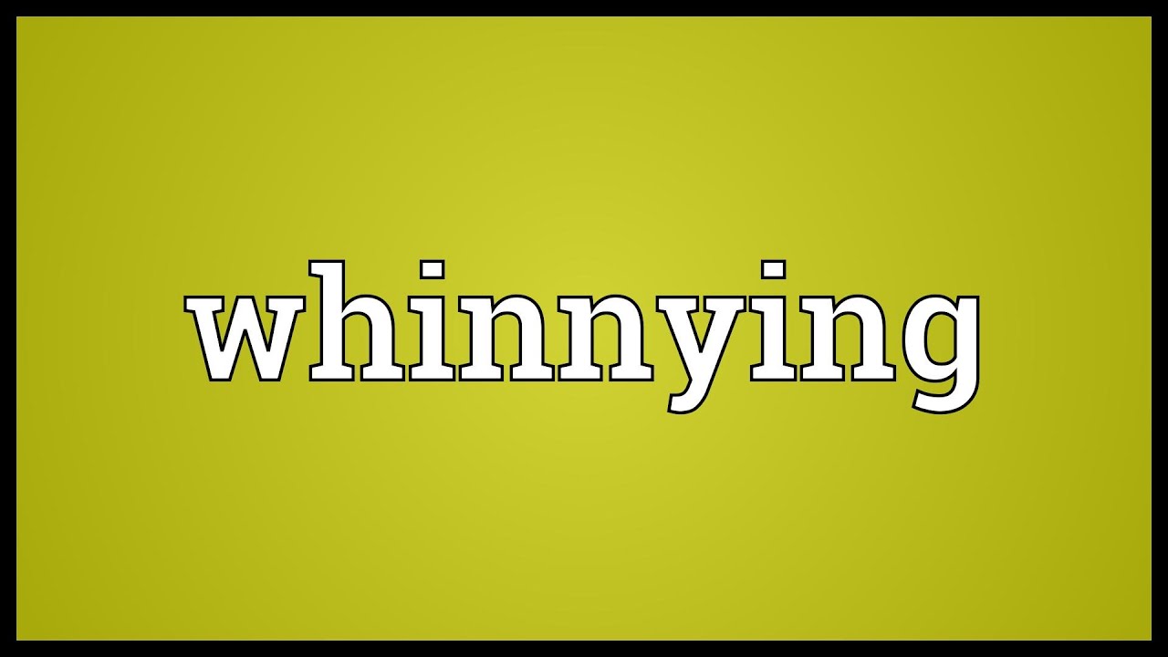 Whinnying Meaning - YouTube