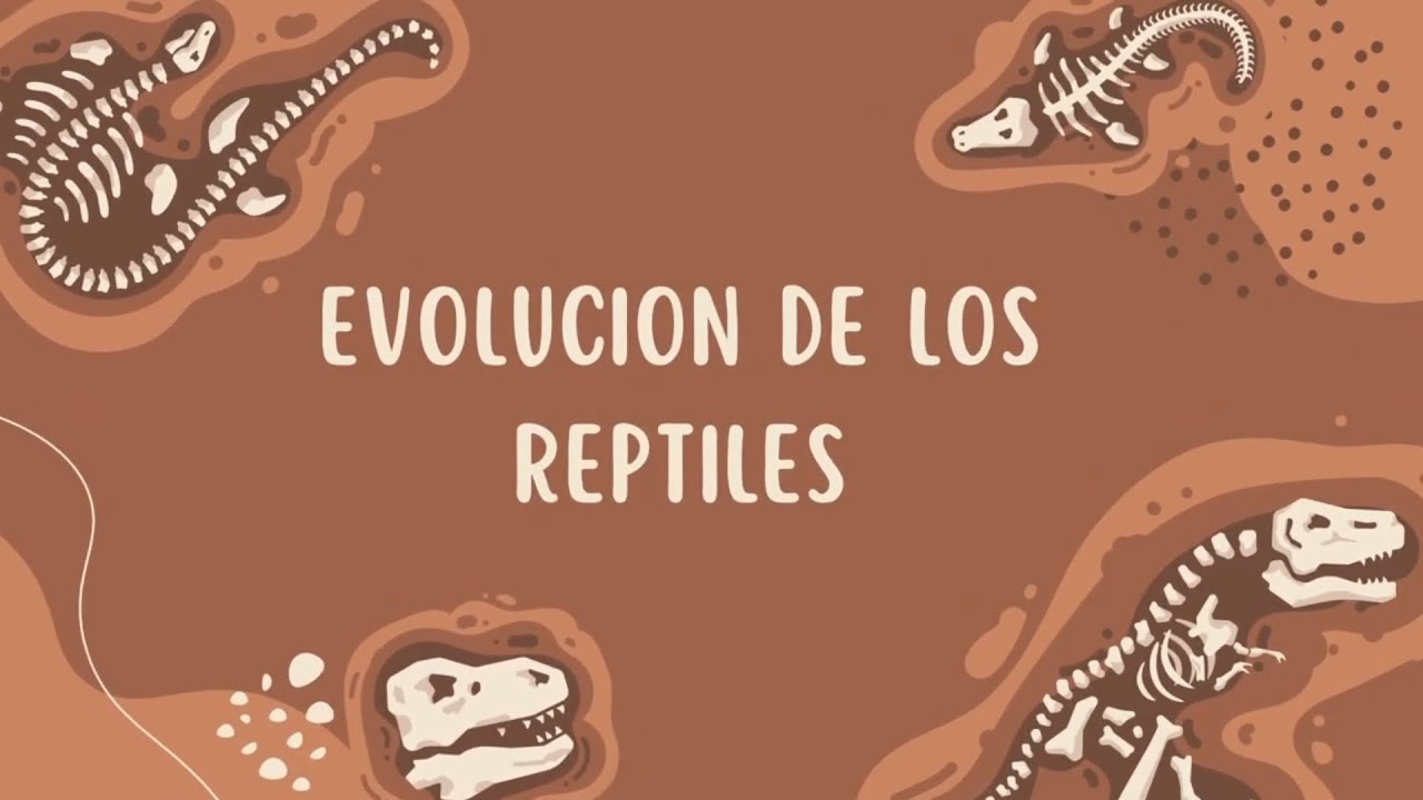 Sobre la Evolución de los Reptiles - YouTube