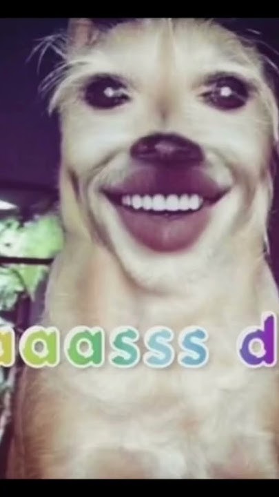 Brainrot #brainrot #kids - YouTube