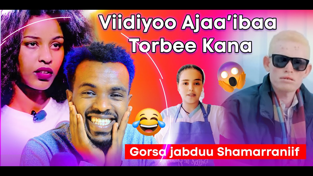 Hir-koo Kutaa 23ffaa fi Viidiyoo Ajaa'ibaa Torbee kana | efi | 2023 ...