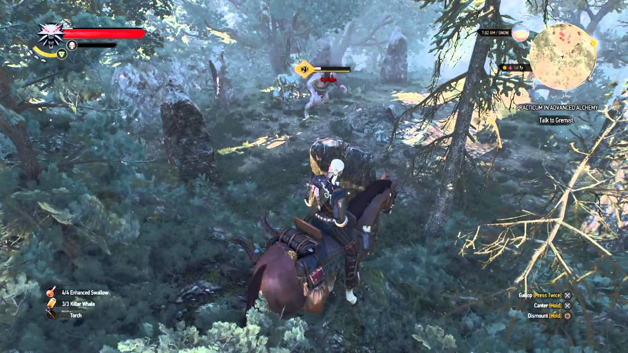 The Witcher 3: Wild Hunt cyclops Vs. earth elemental - YouTube