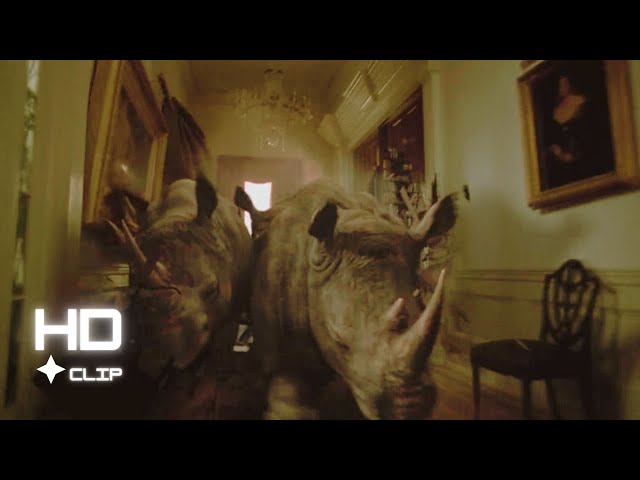 Jumanji Stampede Gif