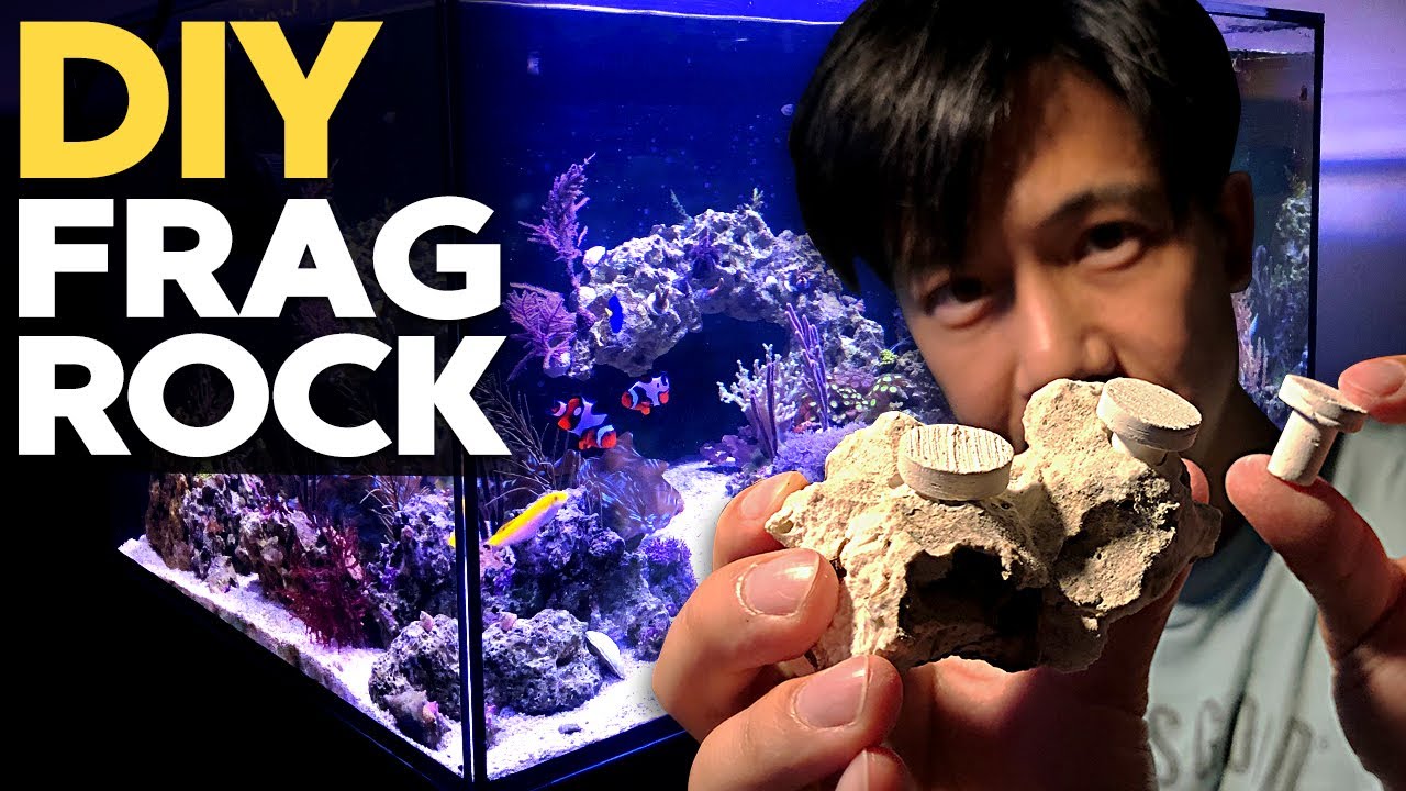DIY Frag Rock, $75 UV Sterilizer for Cloudy Water?! - YouTube