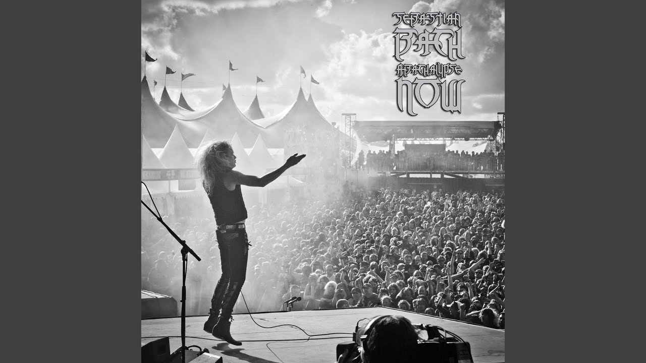 American Metalhead (Live at Hellfest) - YouTube