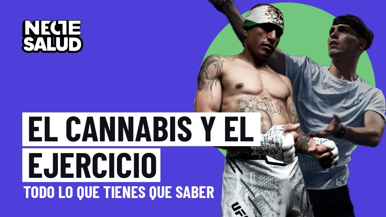 Necte USA – Necte USA