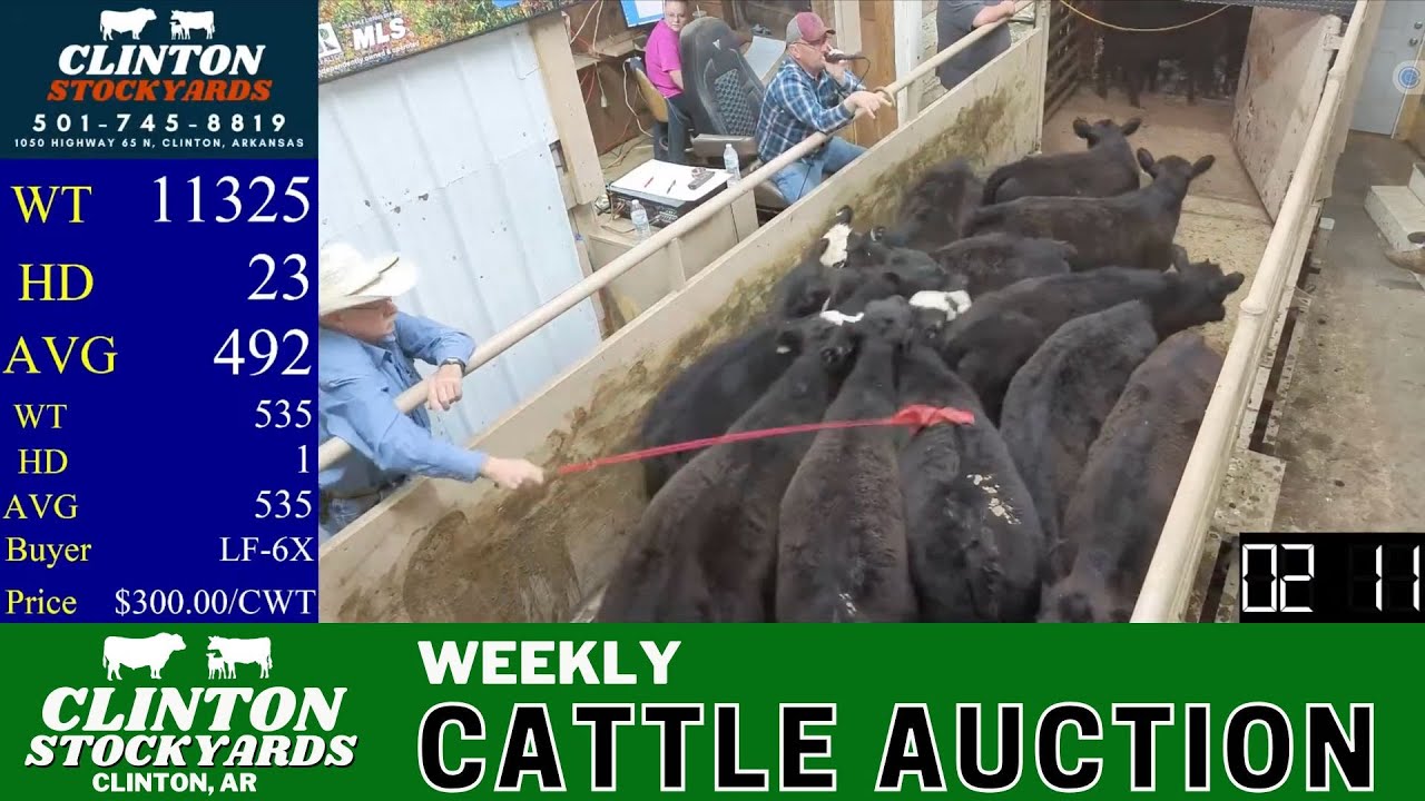 5/10/2025 - Cattle Auction - Clinton Stockyards - YouTube