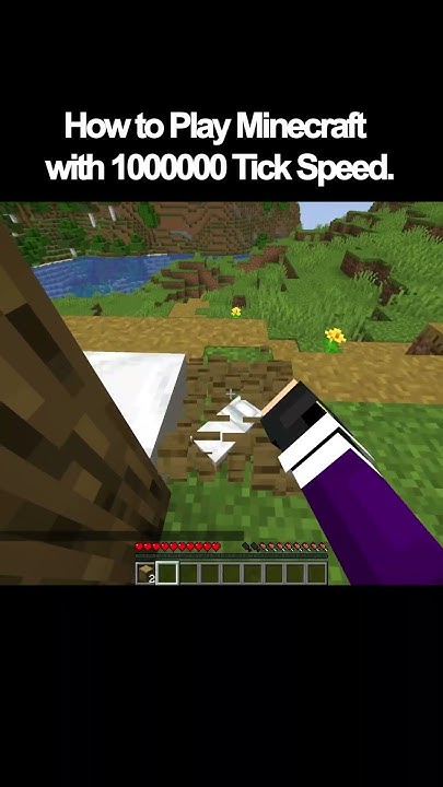 how to play minecraft with 100000 tick speed - YouTube