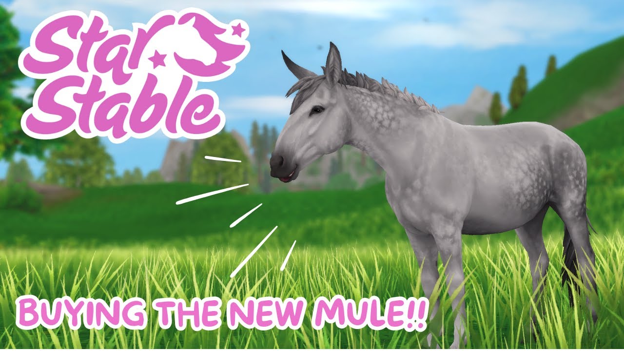 Buying the NEW MULE! Star Stable Online - YouTube