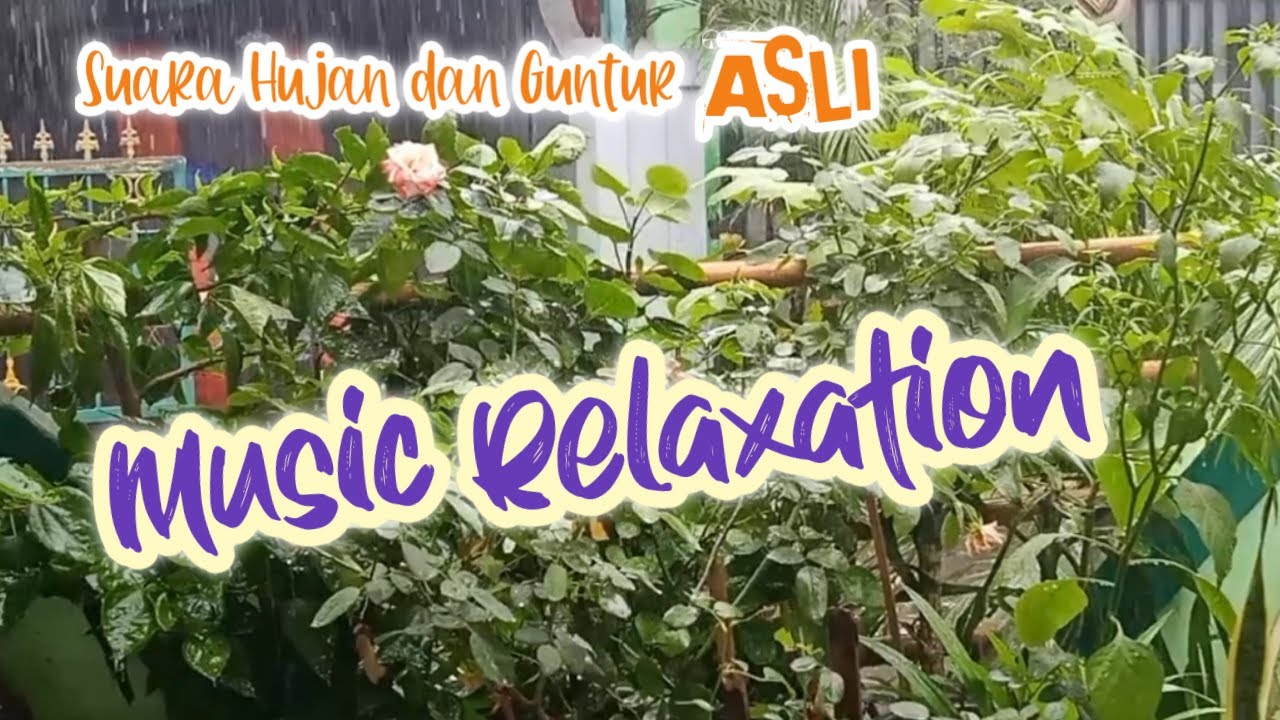 Music Relaxation Suara Hujan Dan Guntur Asli Pengantar Tidur Youtube