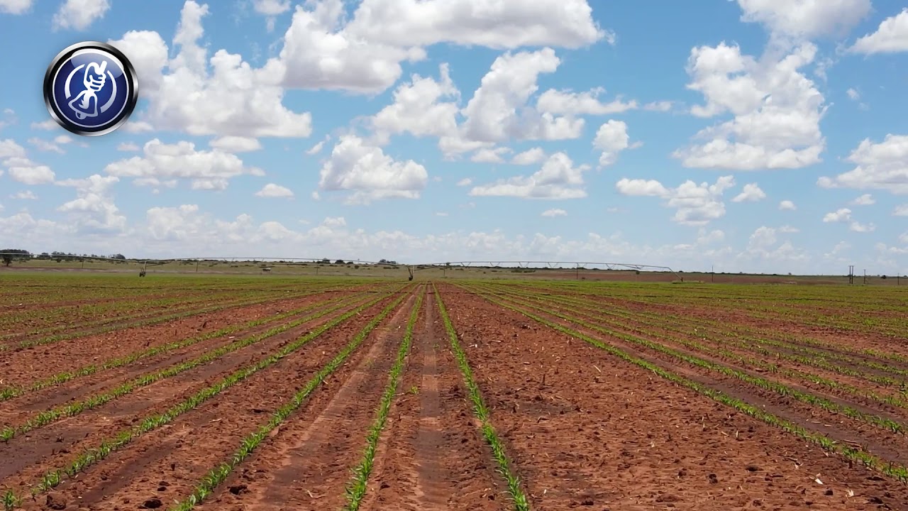 2 DAY BANK AUCTION OF 5 FARM PORTIONS IN LICHTENBURG AREA - YouTube