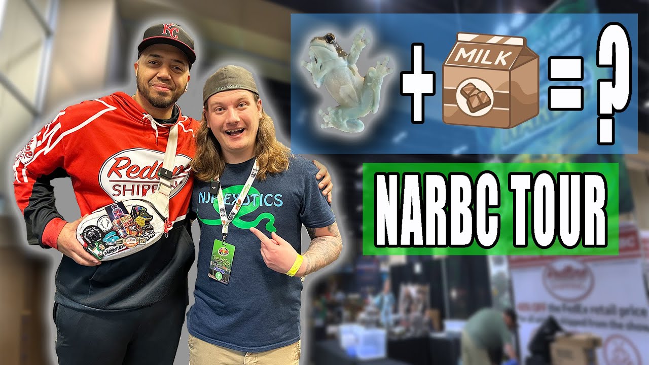Touring NARBC Tinley Park W/ Chris Ballinger! - YouTube