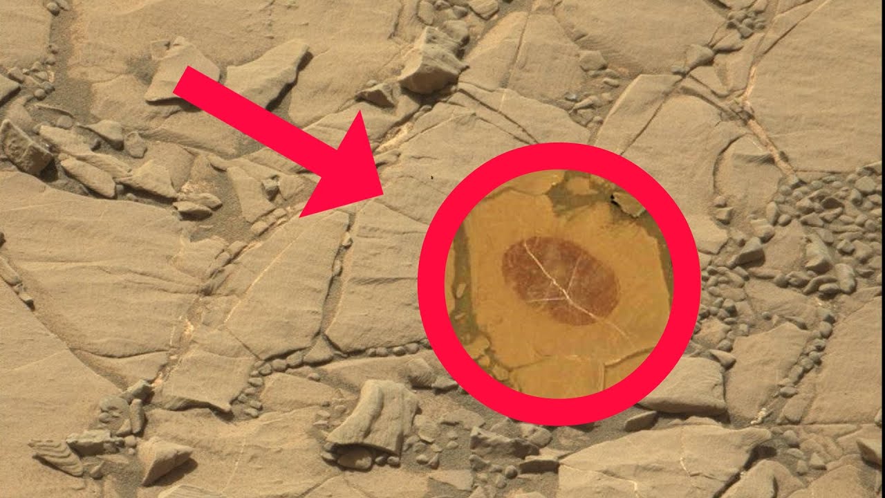 Perseverance Rover & Curiosity captured the strange image on Mars's ...