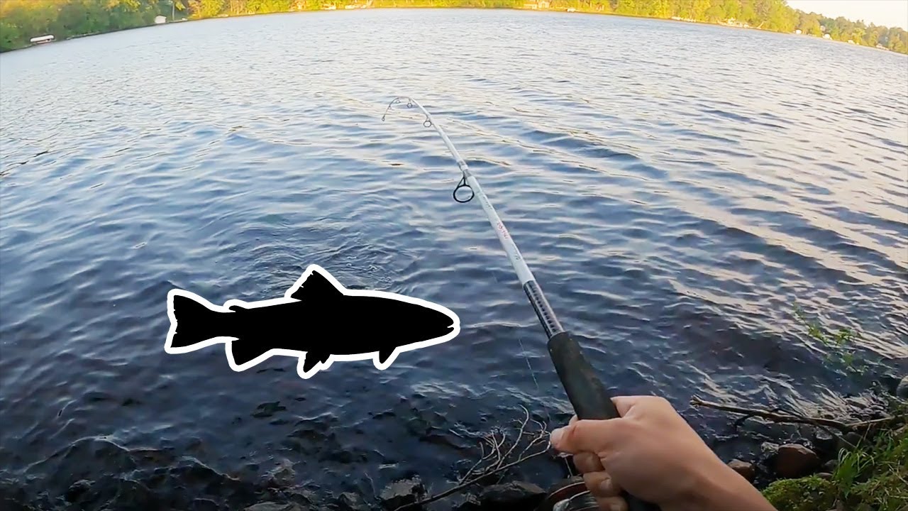 Fish on Fire at Chippewa Falls(Lake Wissota and Eau Claire River) - YouTube