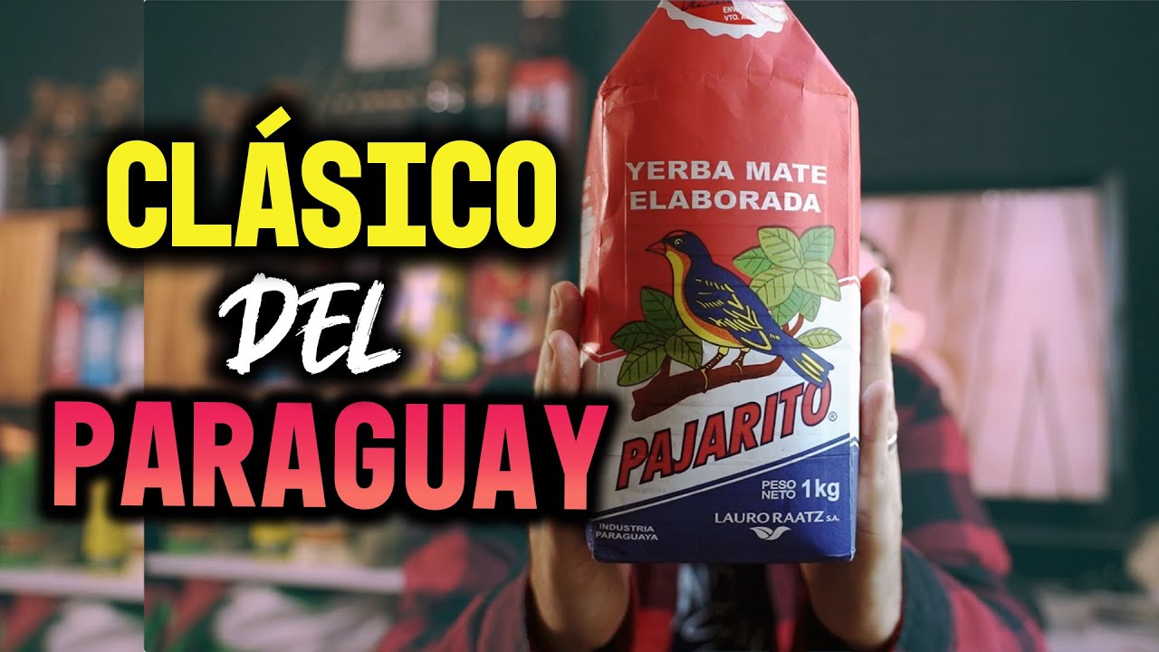 Probando Yerba Mate PAJARITO - YouTube