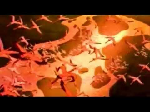 --Animash- Halo!♥ - YouTube