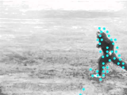 Fast 3D Extension of Fast Feature Detection for SpatioTemporal Corner ...