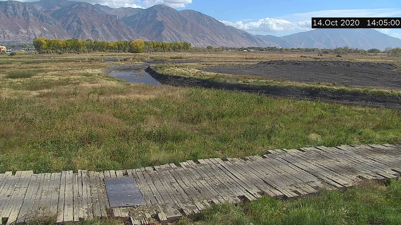 Provo River Delta Restoration Aug 2020 to Dec 2020 - YouTube