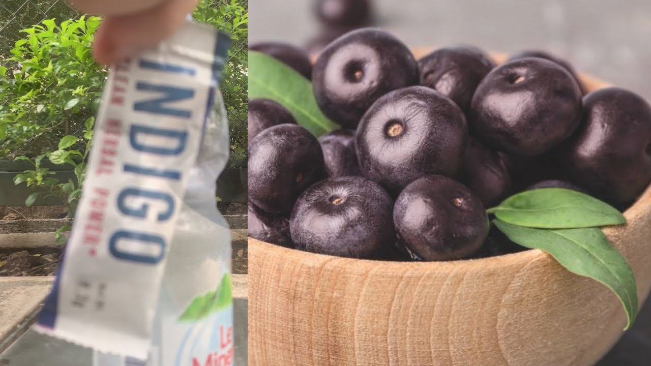 Discover the Power of Indigo Juice with Acai Berry: A Superfood Elixir ...