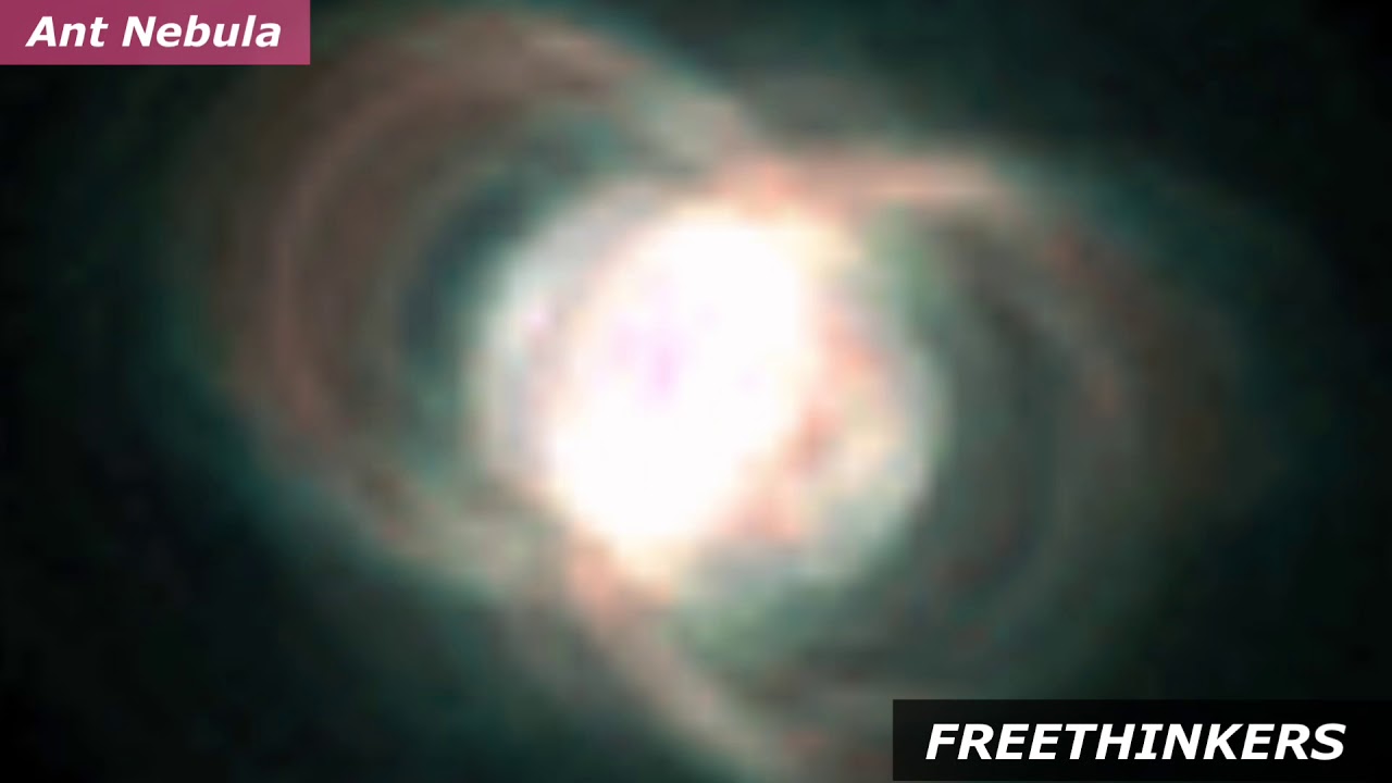 Ant Nebula Freethinkers - YouTube