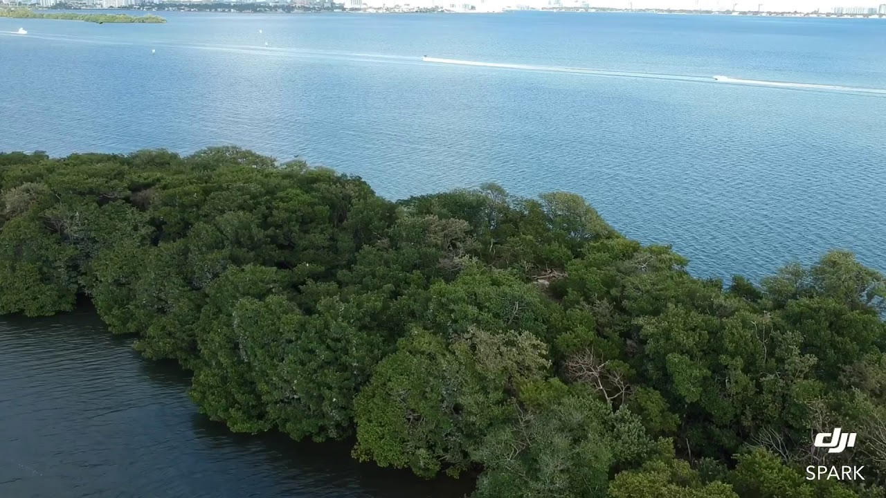 Morningside park , MIAMI.FL - YouTube