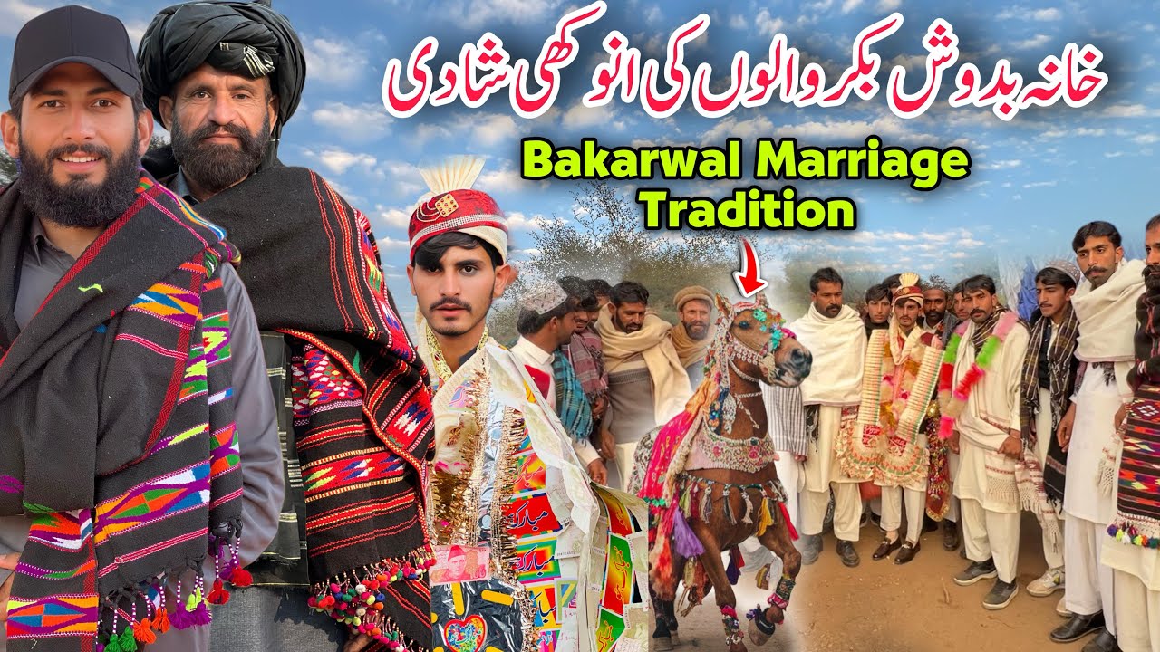 😱Bakarwal Marriage Ceremony in Kashmir | Rare Tribal Wedding Traditions ...