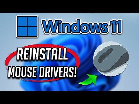 How to Update/Reinstall Mouse Drivers on a Windows 11/10 PC - YouTube