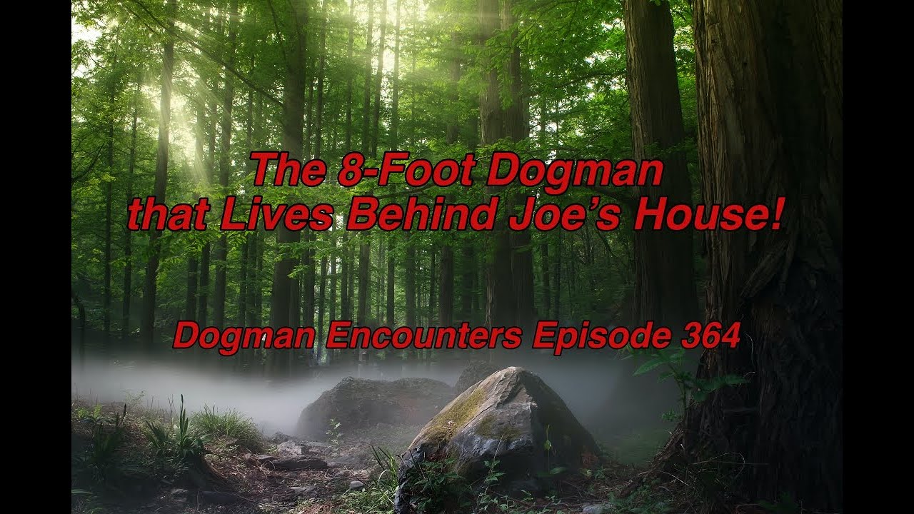 The 8-Foot Dogman that Lives Behind Joe’s House! (Dogman Encounters ...