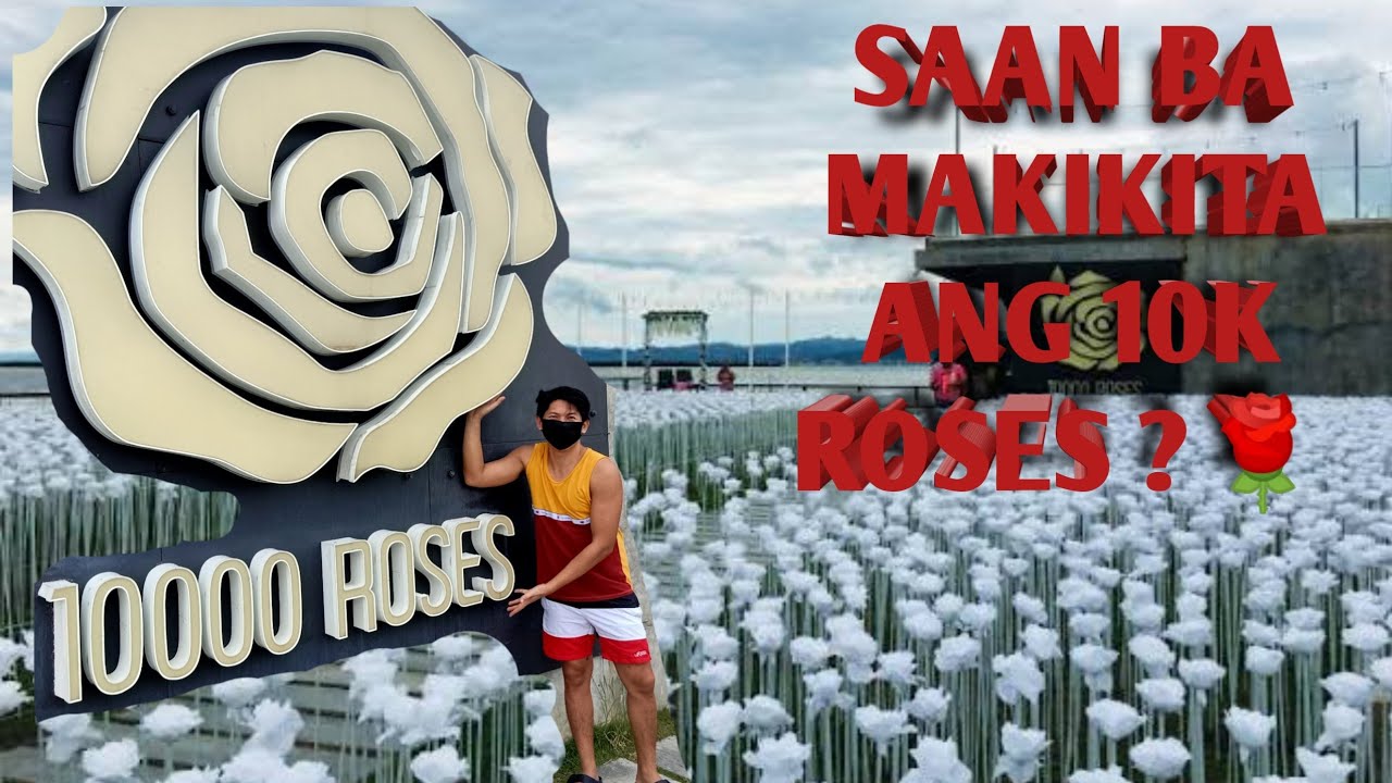 Where can we find 10 000 roses? 🌲🌹 - YouTube