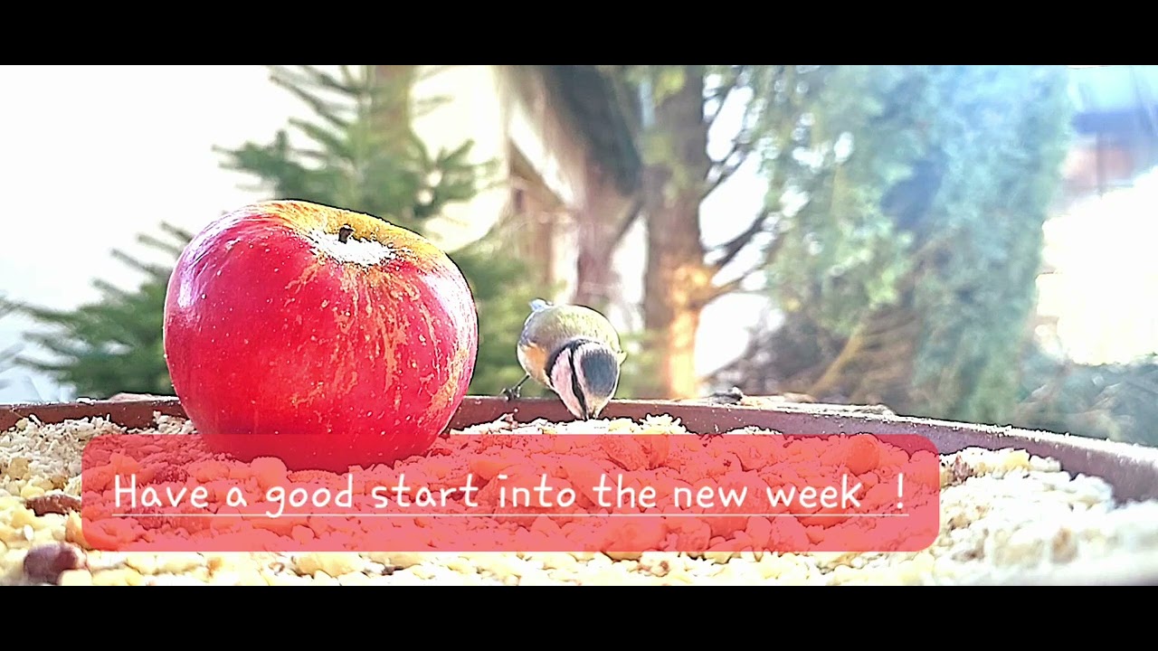 Have a good start into the new week ! - YouTube