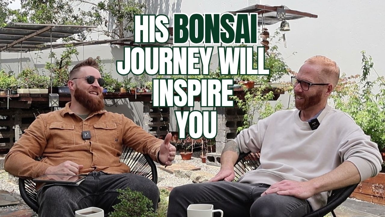 The Bonsai Journey of Sean Shepherd | What 5 Years of Growing Bonsai ...