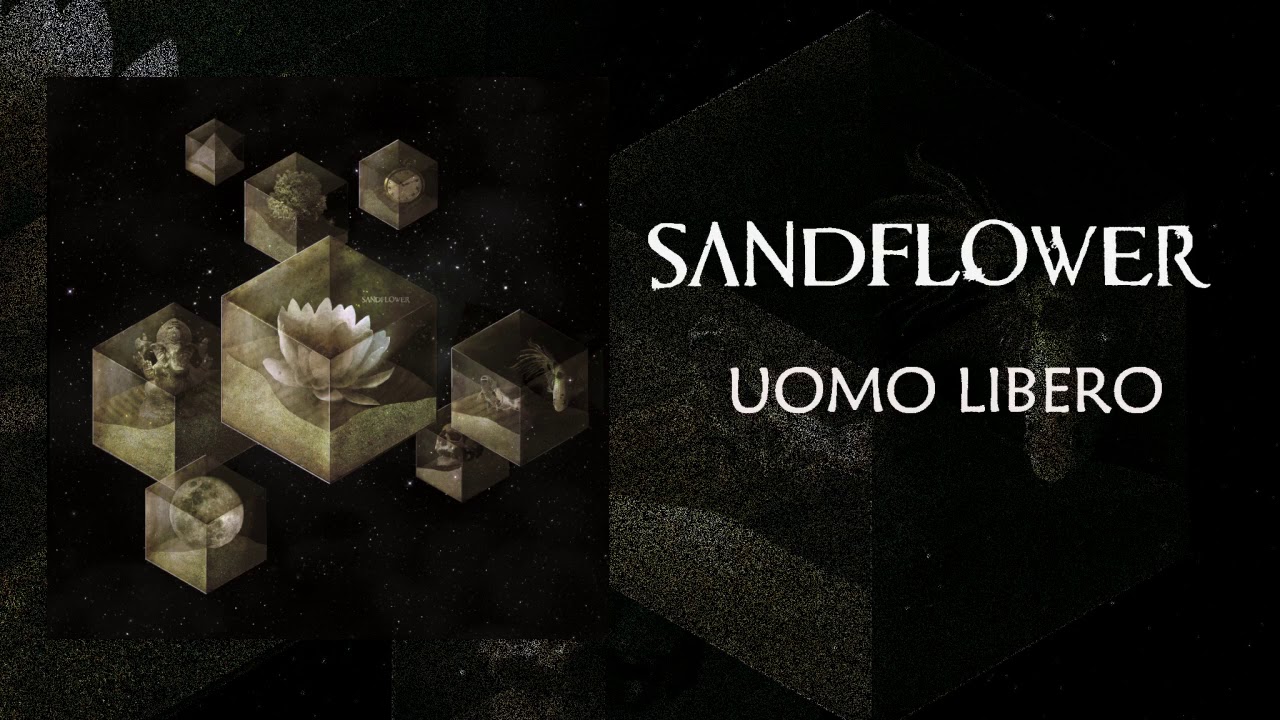 Sandflower - Uomo libero - YouTube Music