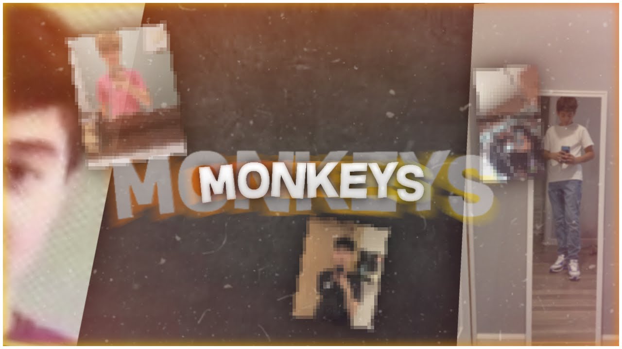 MONKEYS DISCORD IRL 2020 - YouTube