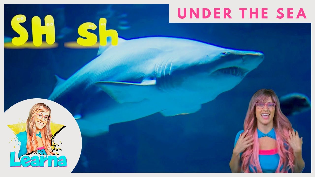 Songs To Help Toddlers Identify Letters Under The Sea Help My Songs To Help Toddlers Identify Letters Under The Sea Help My