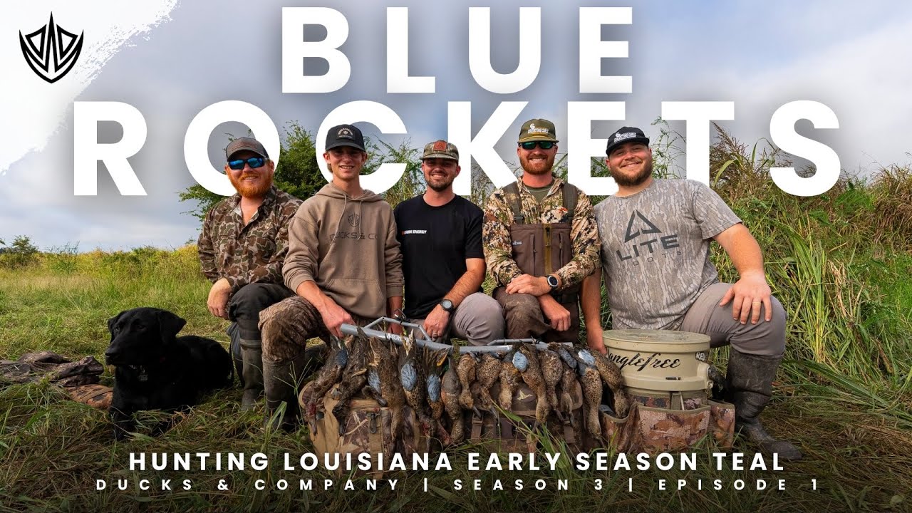 Teal Hunting The Louisiana Rice Fields // Early Season Blue Wing Teal ...