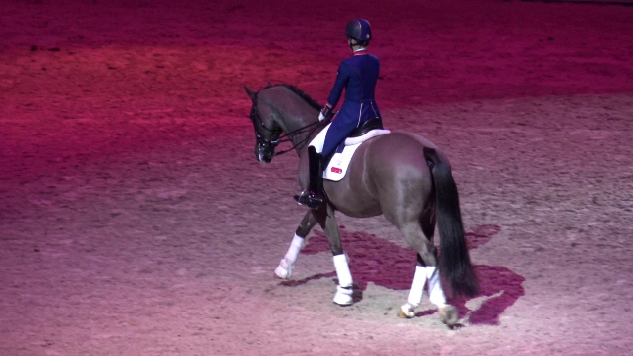 VALEGRO at KWPN Stallionshow 2017. - YouTube