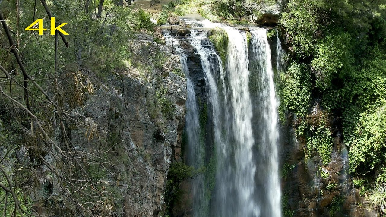 Main Range National Park Gold Coast - YouTube