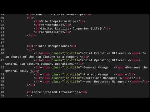 Career Site Style Special Pieces (Web Development/Design - Unit 5 ...